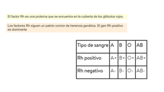 BIOMETRIA HEMÁTICA EN PACIENTES PEDIÁTRICOS.pptx
