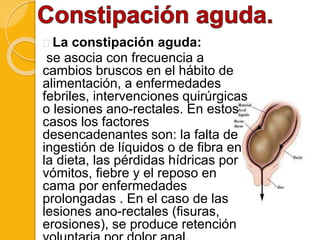 constipacion,reflujo gastroesofagico,caracteristicas y cuidados del ...