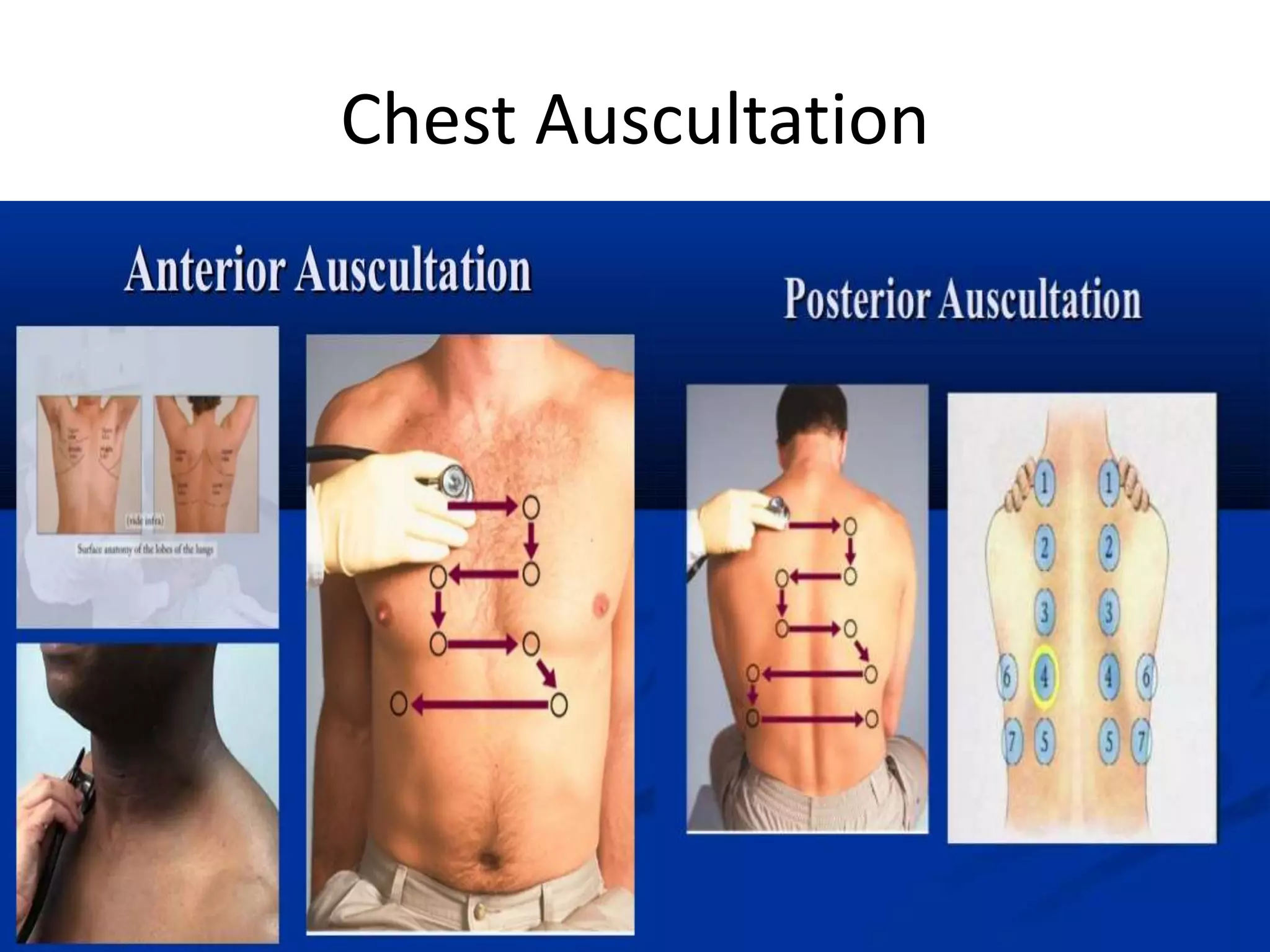 Pediatric physical assessment in children | PPTX