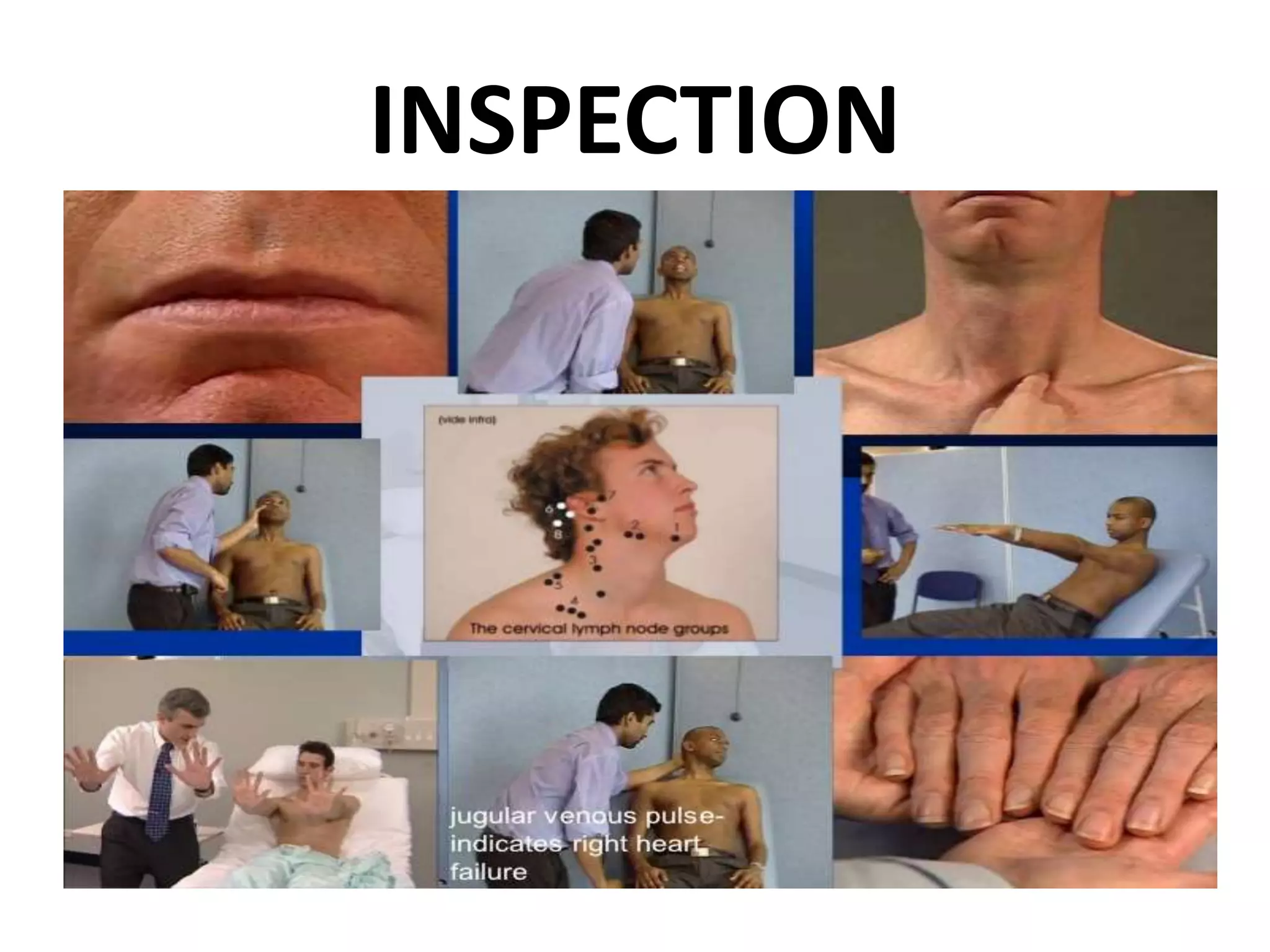 Pediatric physical assessment in children | PPTX