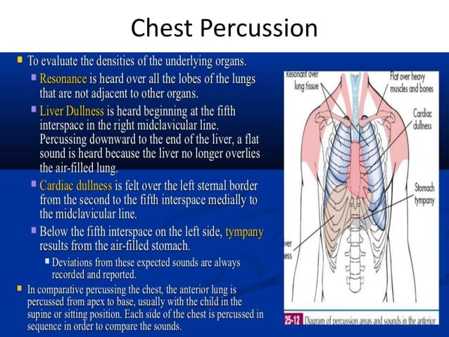 Pediatric physical assessment in children | PPTX