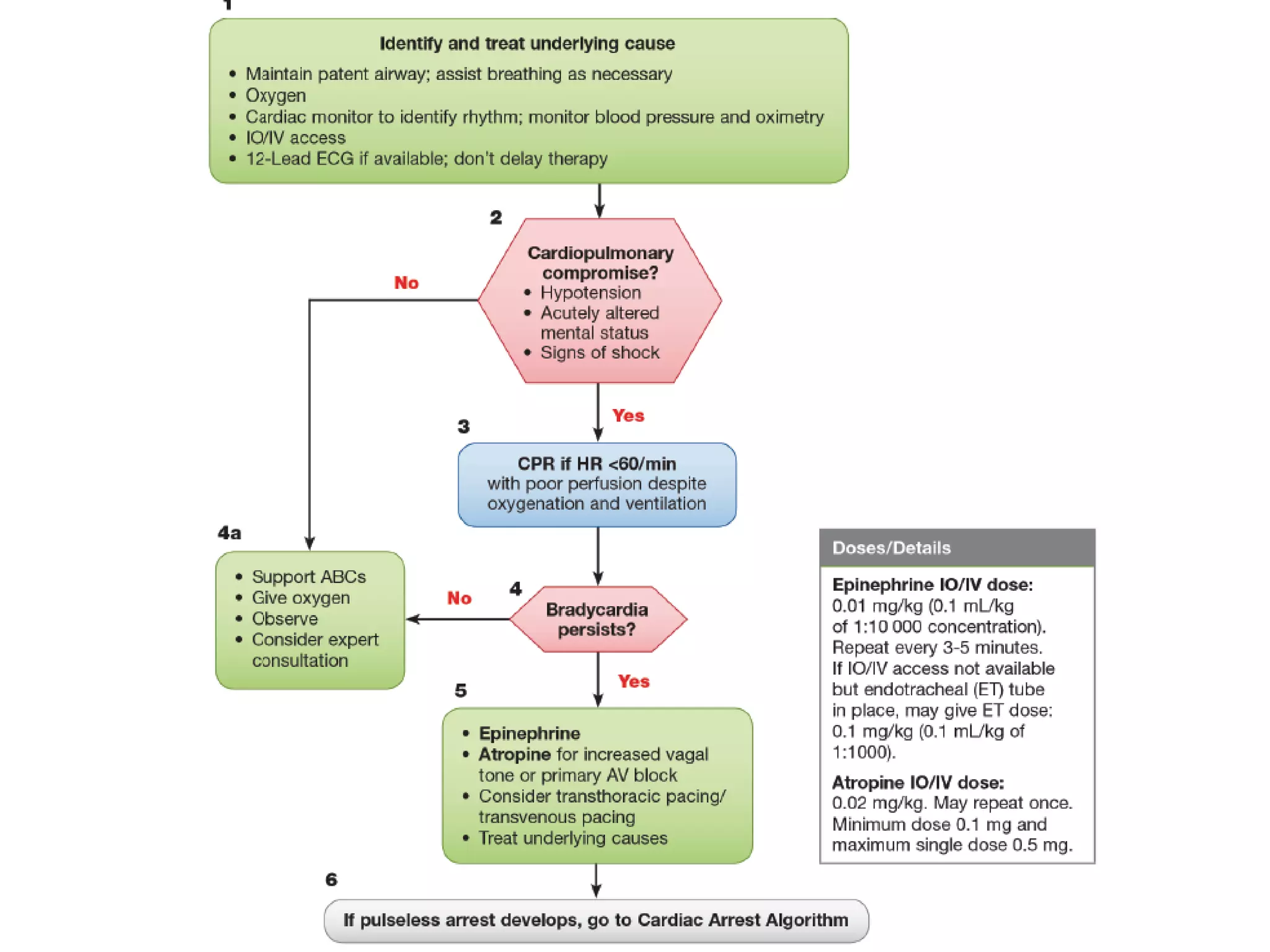 CPR2015 update: PALS | PPT