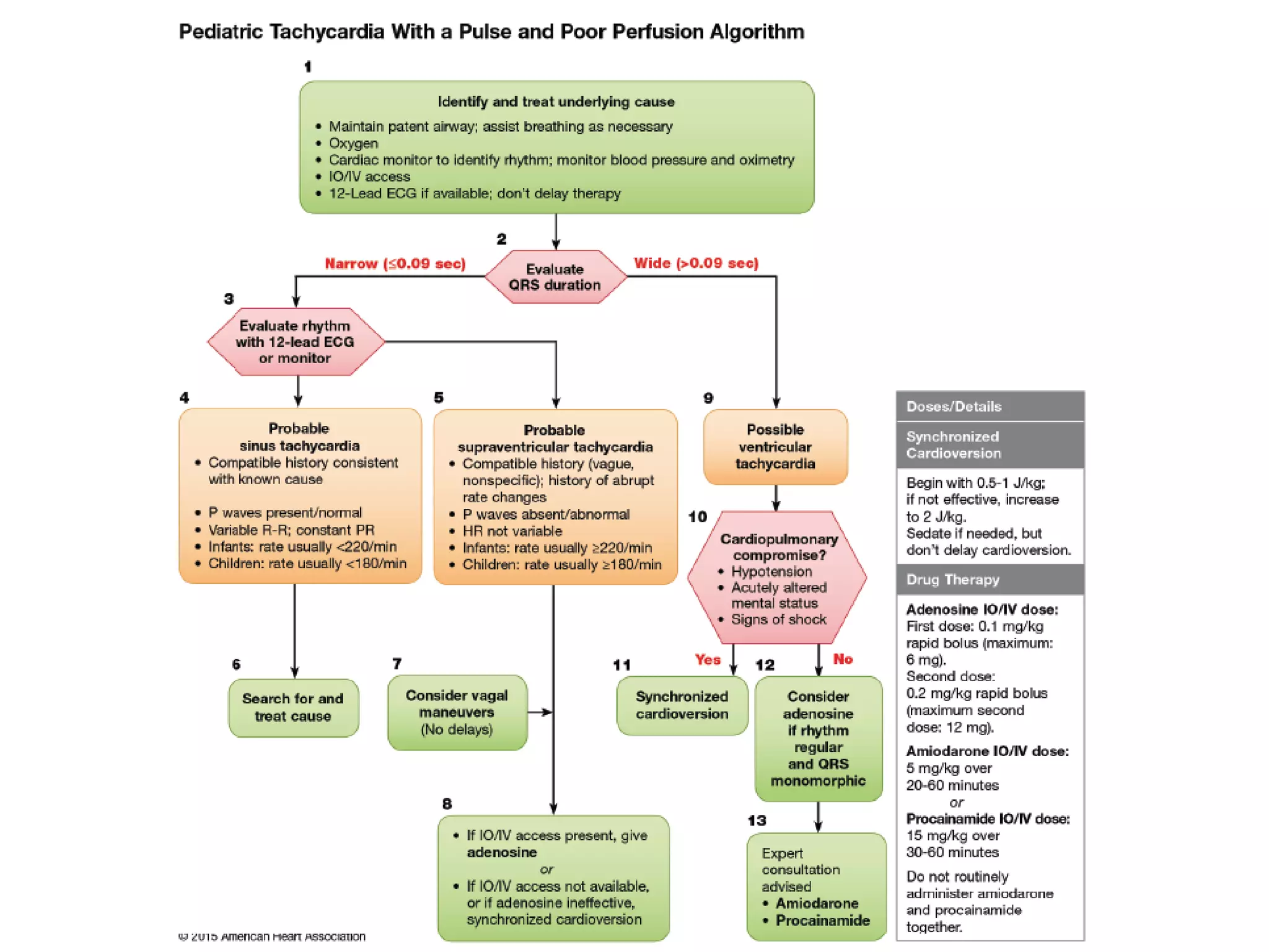 CPR2015 update: PALS | PPT