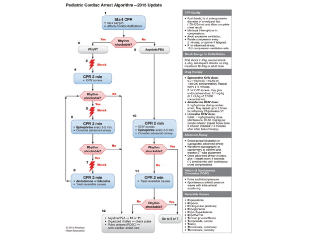 CPR2015 update: PALS | PPT