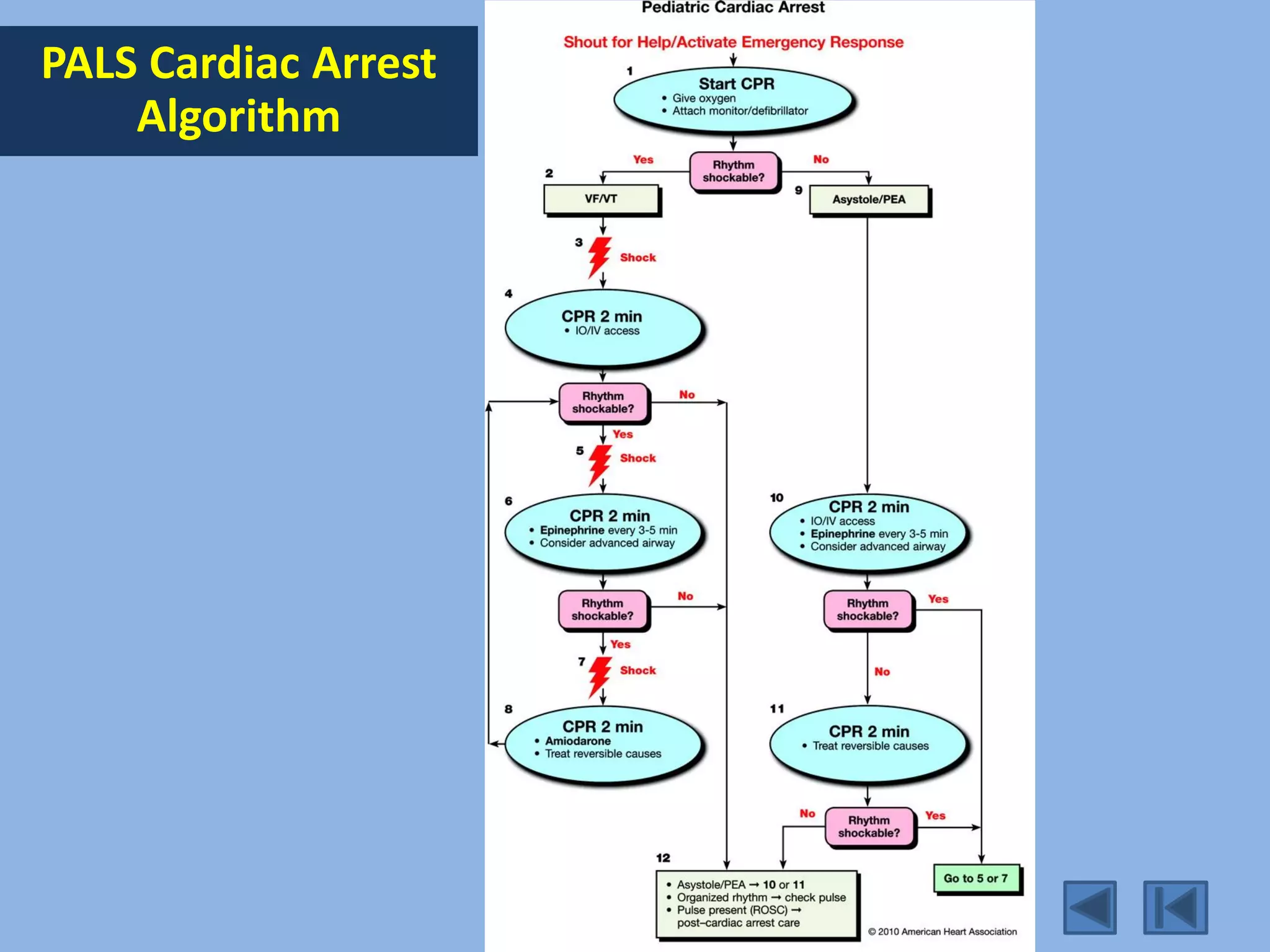PEDIATRIC ADVANDCED LIFE SUPPORT | PDF