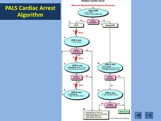PEDIATRIC ADVANDCED LIFE SUPPORT | PDF | First Aid | Injuries