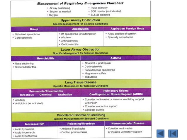 PEDIATRIC ADVANDCED LIFE SUPPORT | PDF | First Aid | Injuries