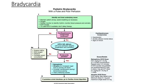 Pediatric advanced life support ( PALS ) | PPTX | First Aid | Injuries