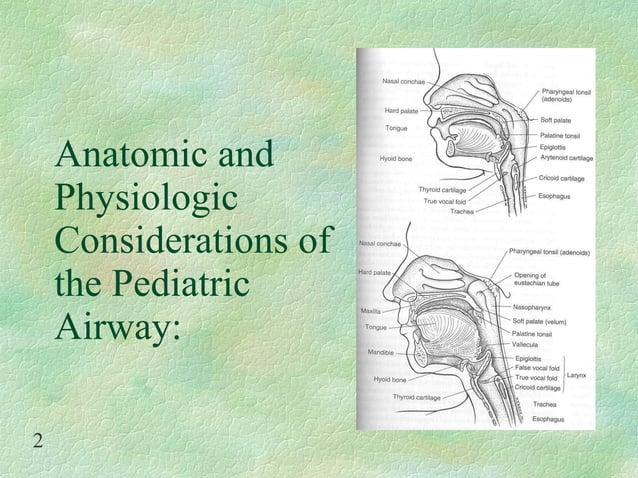 Pediatric Airway Emergencies | PPT