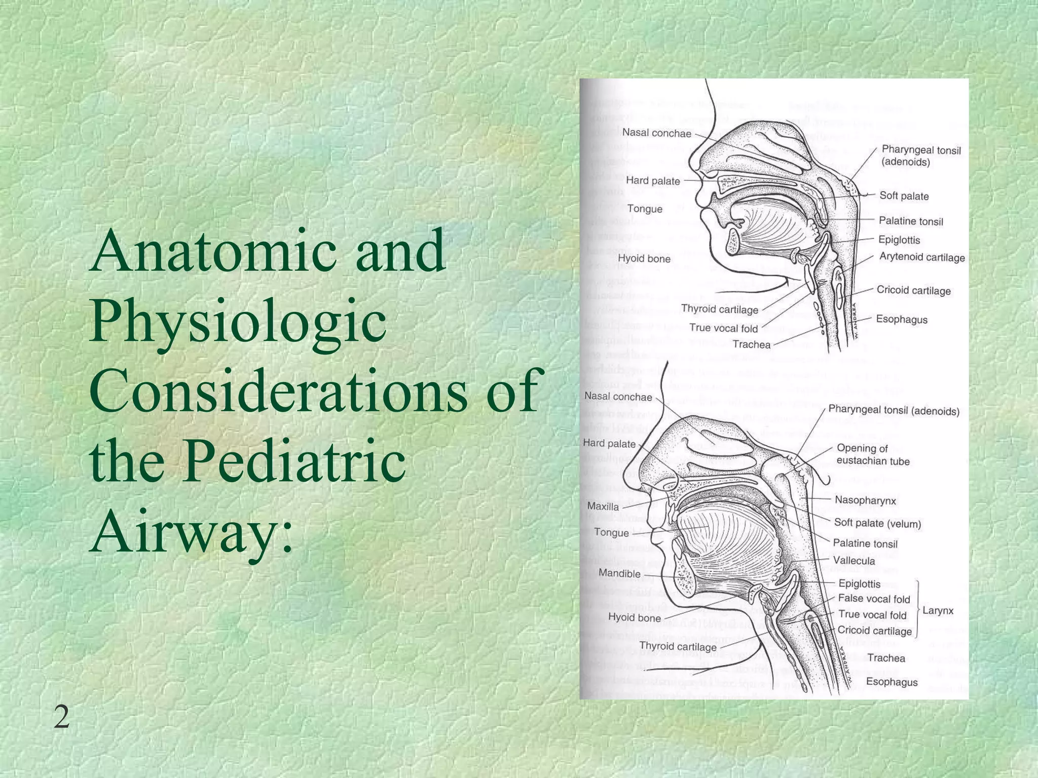 Pediatric Airway Emergencies,Evaluation And Management | PPT