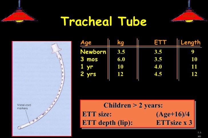 Pediatric airway management shapiro