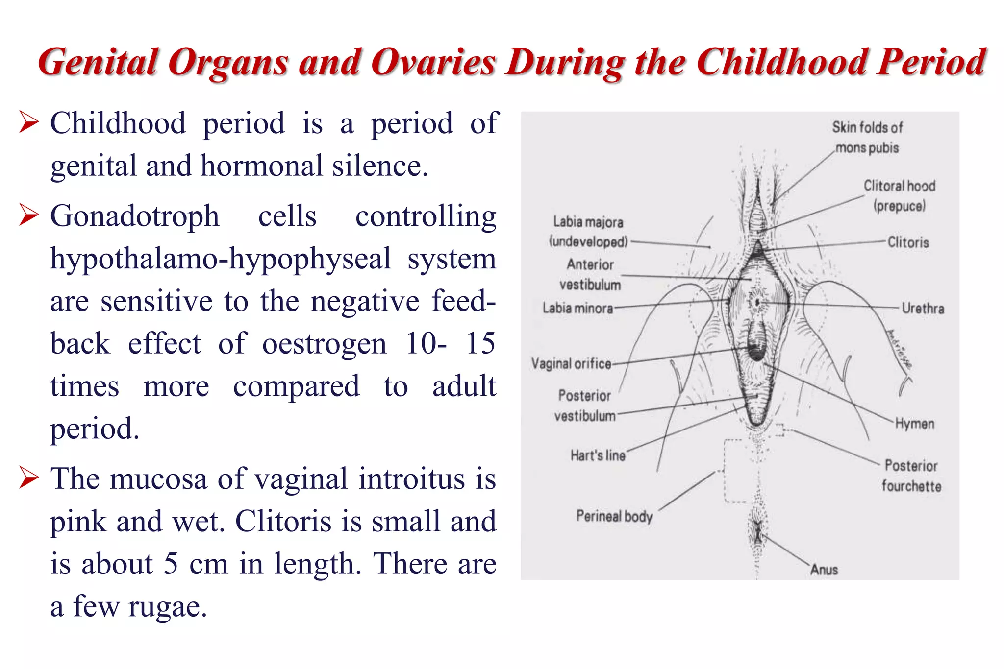 Pediatric and adolescent gynecology koc univ. web | PPTX