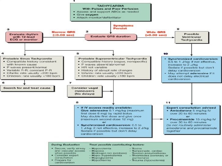 Pediatric And Neonatal Resuscitation