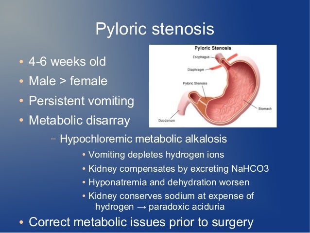 Pediatric anesthesiology board review