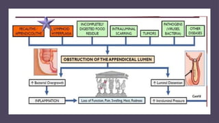 discussion on Pediatric Appendicitis case.pptx