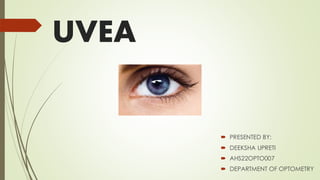 PEDIATRIC UVEITIS EXPLANATION ALONG WITH ANATOMY OF UVEA | PDF