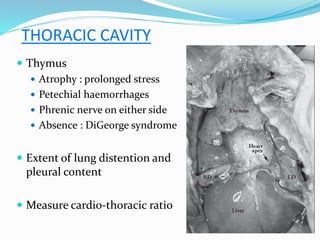 Pediatric autopsy.pptx