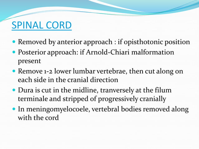 Pediatric autopsy.pptx | Lung and Respiratory Health | Diseases and ...