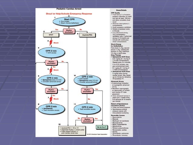 pediatric_basic_life_support.pdf pbls child | PDF