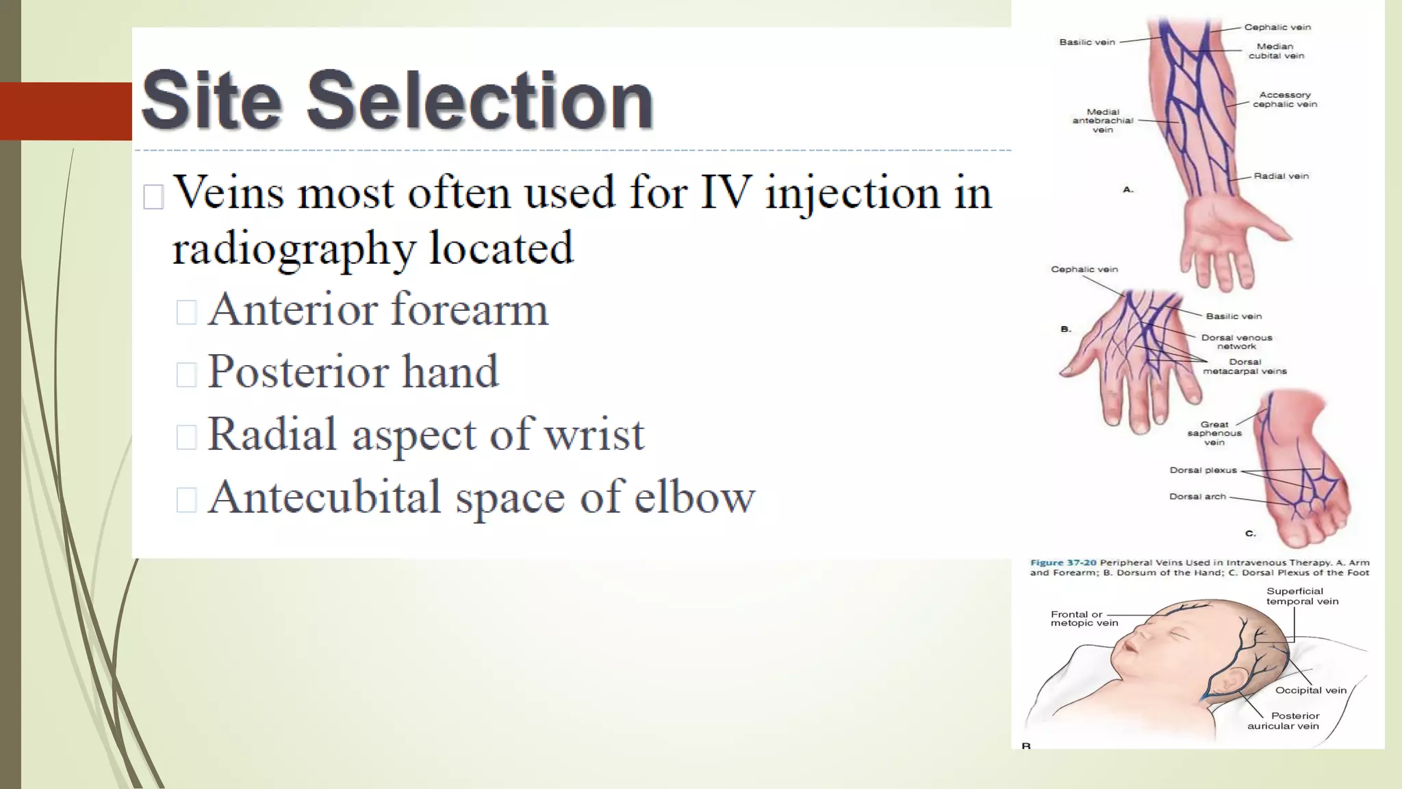 Pediatric blood sampling technique | PDF