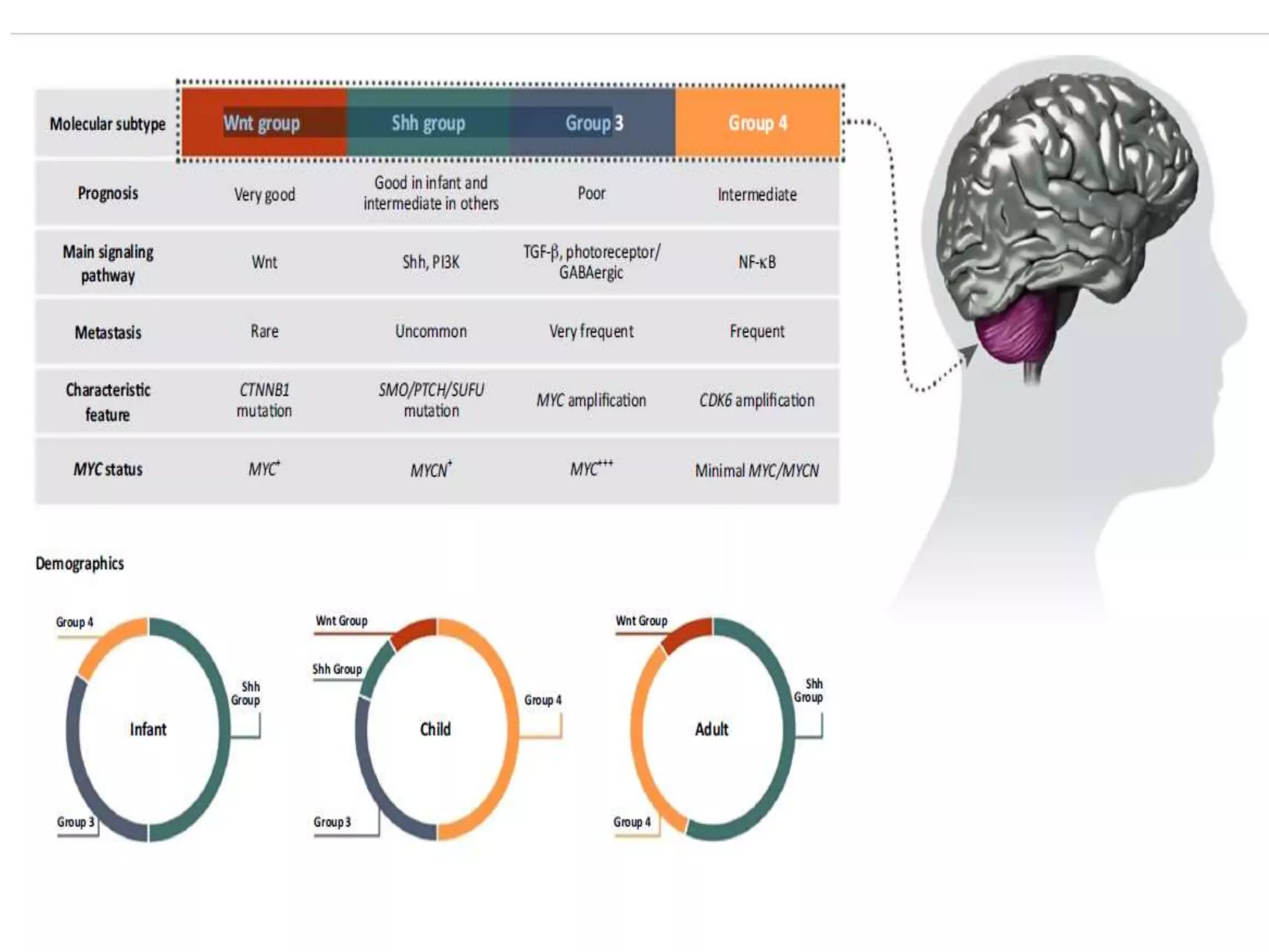 Pediatric brain tumors | PPTX