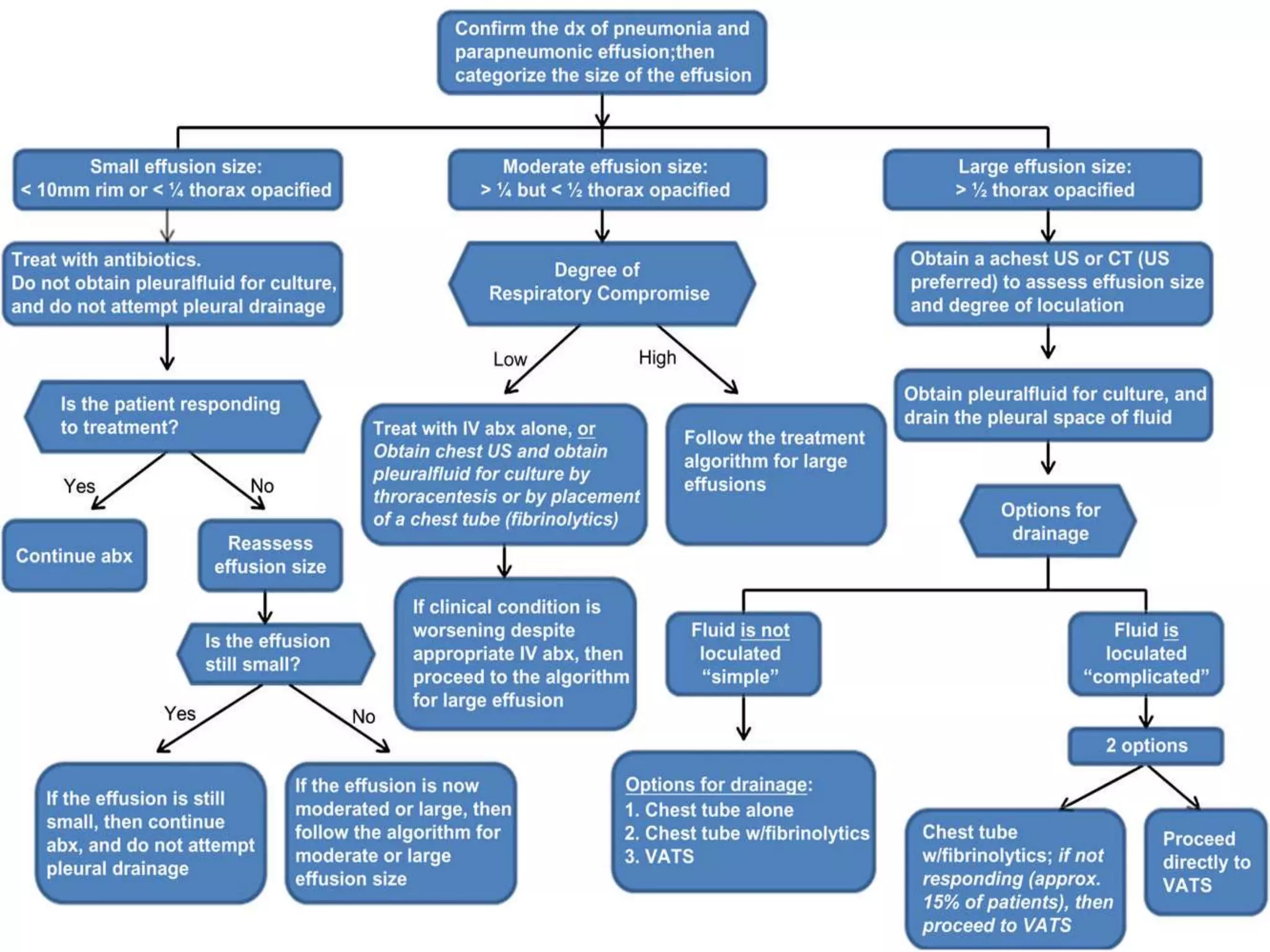 Pediatric community acquired pneumonia | PPSX
