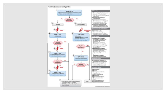 Pediatric cardiac arrest dayang | PPTX | First Aid | Injuries