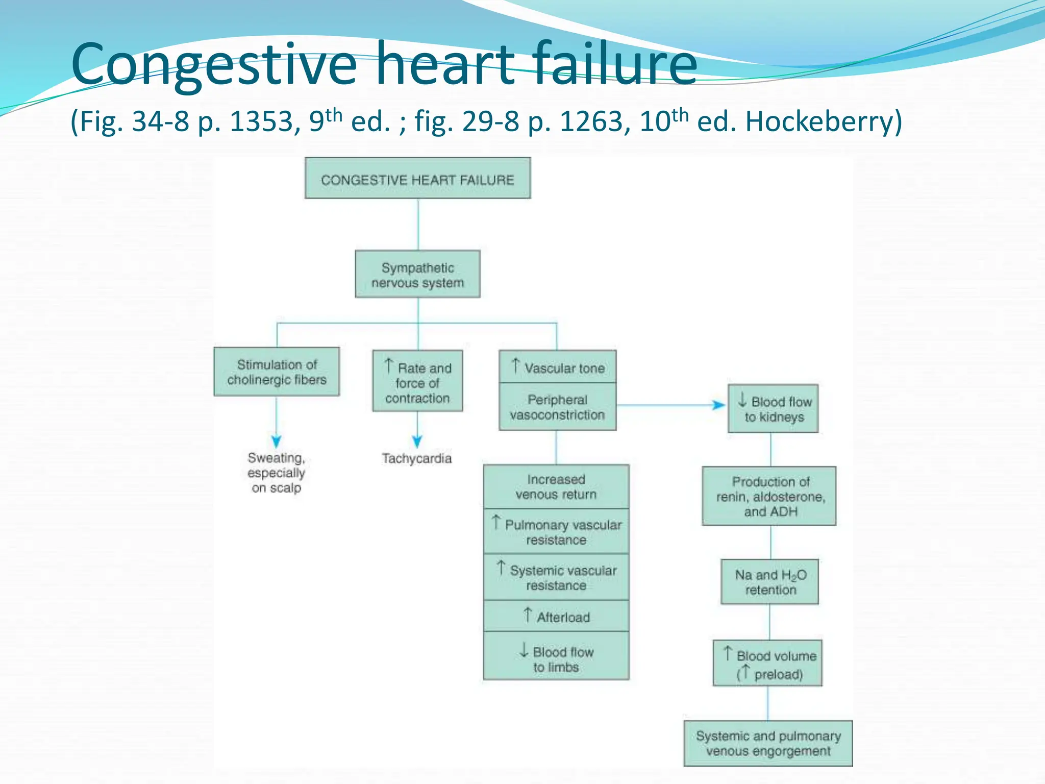 Pediatric_Cardiac_Disorders.ppt