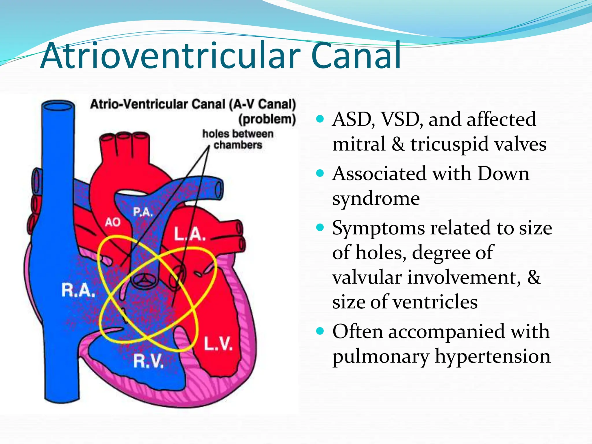Pediatric_Cardiac_Disorders.ppt