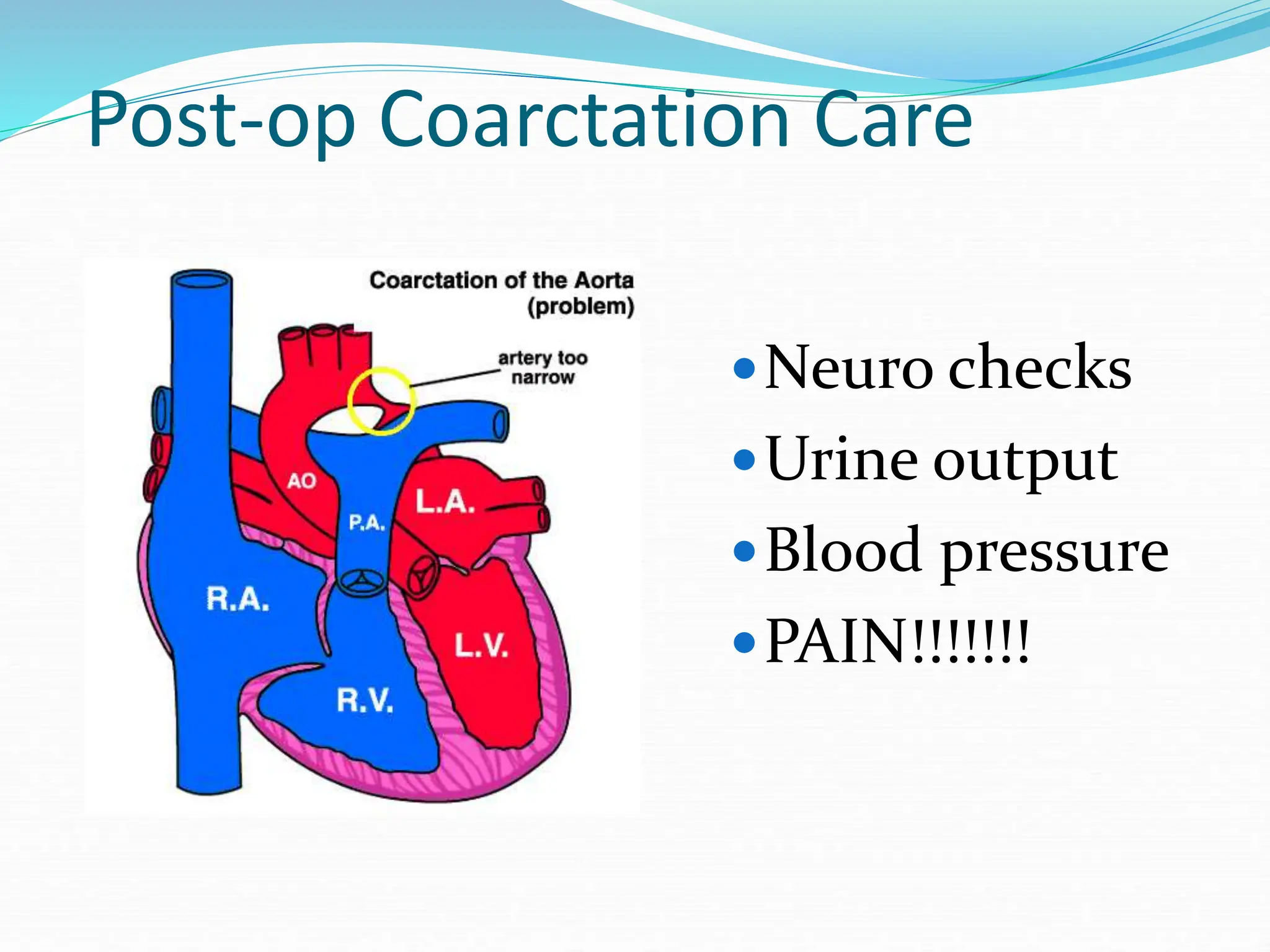 Pediatric_Cardiac_Disorders.ppt
