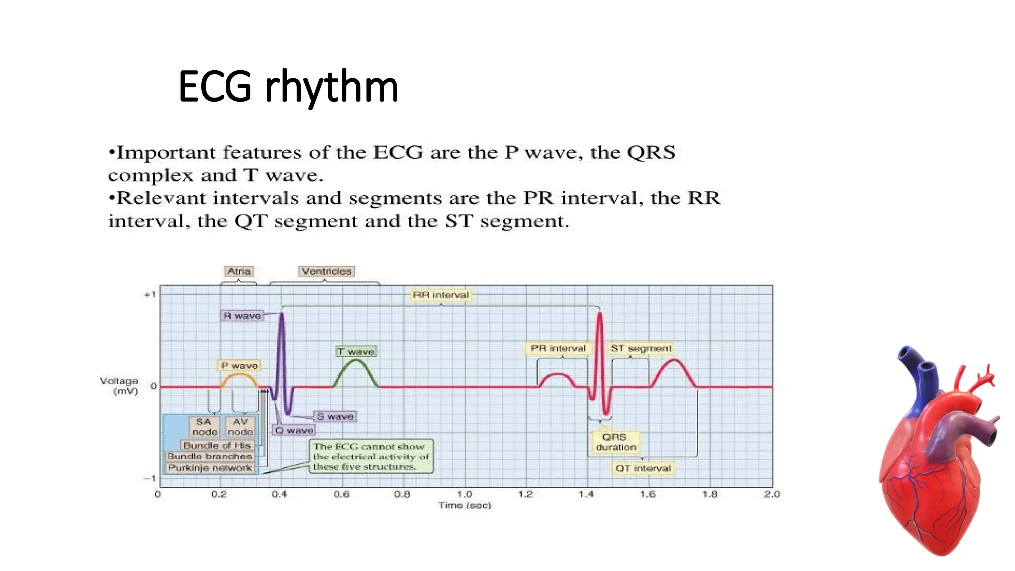 PEDIATRIC NURSING CARDIAC EMERGENCY AND ECG interpretation | PPTX