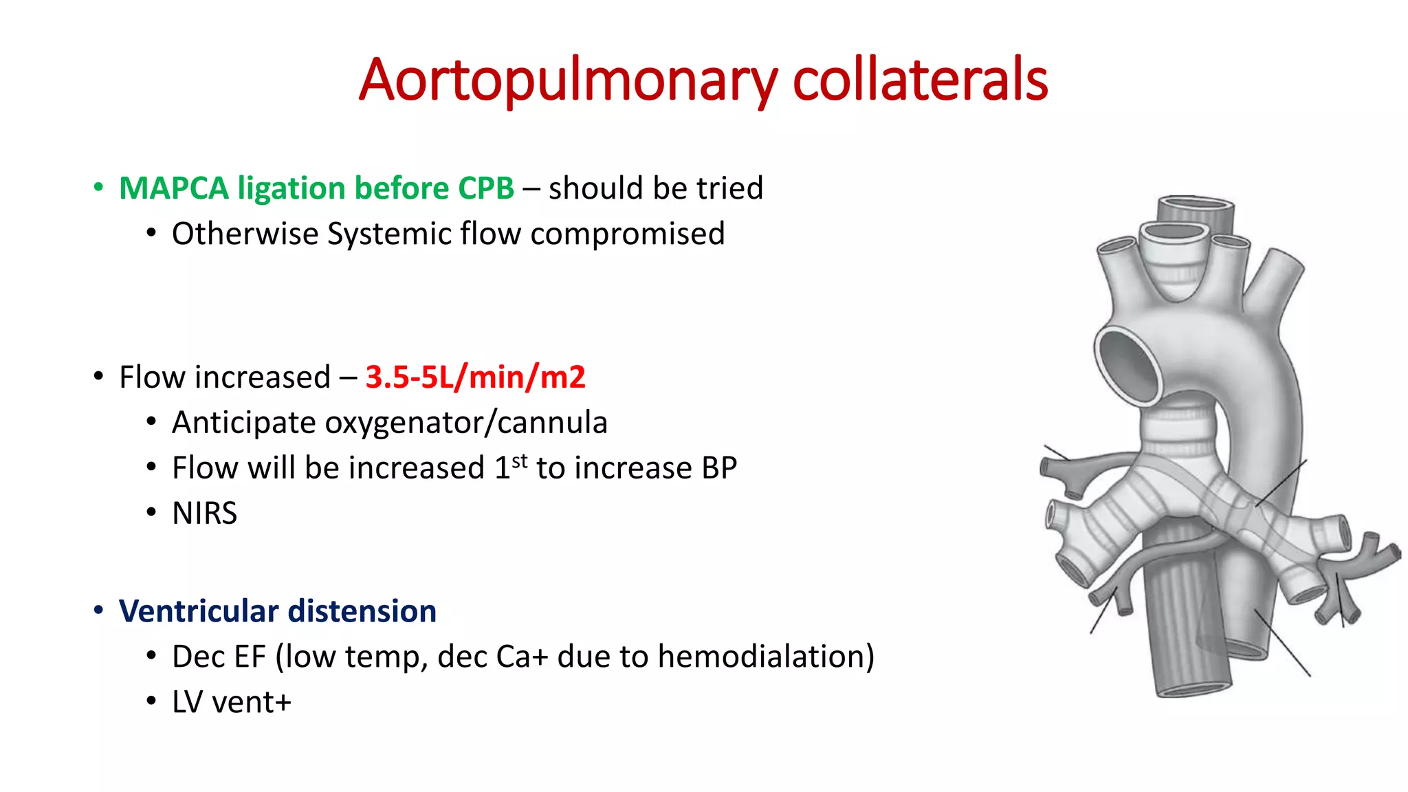 Pediatric cardiopulmonary bypass | PPTX