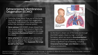 Drs. Olson’s and Jackson’s CMC Pediatric X-Ray Mastery: November Cases ...