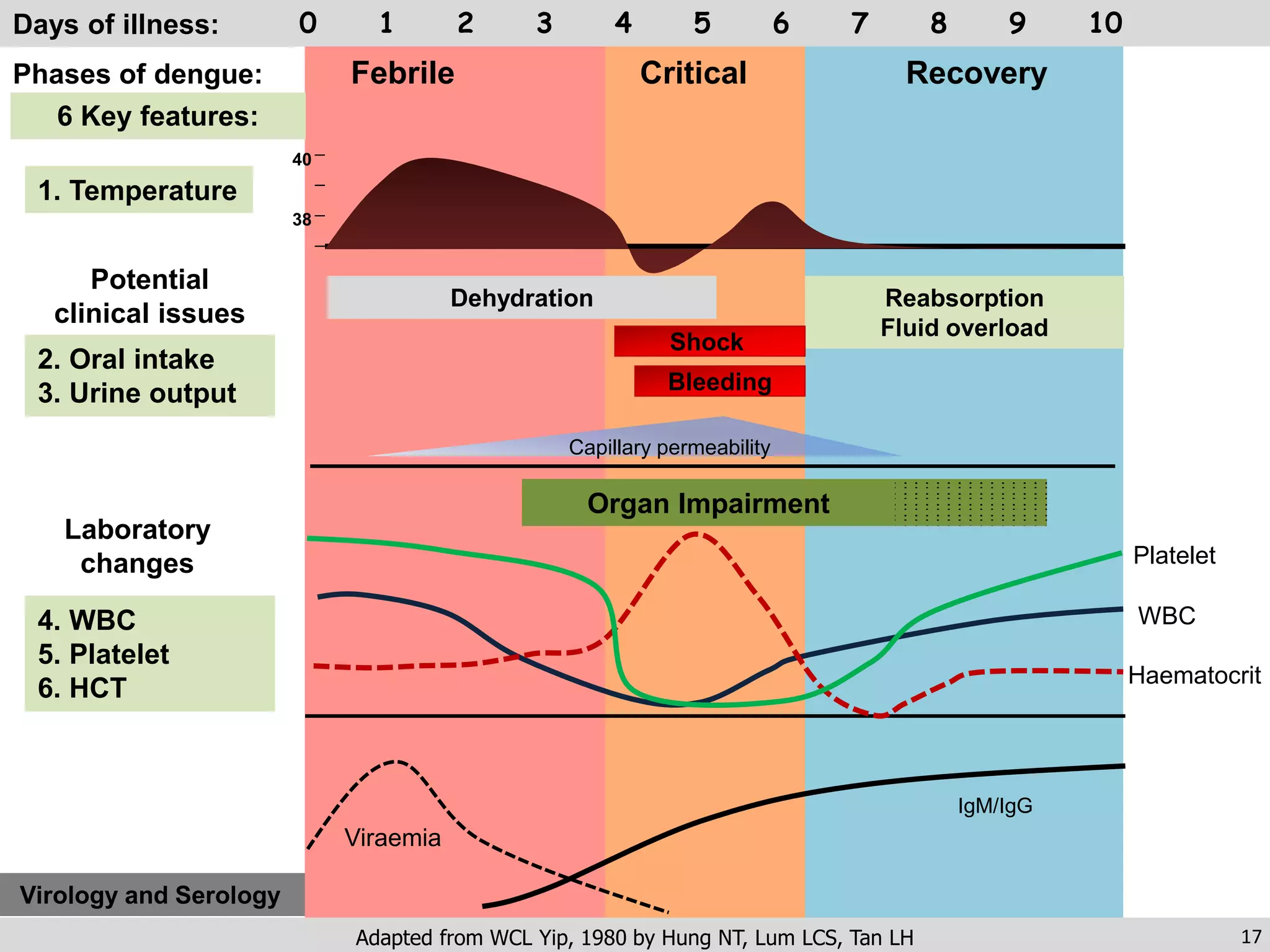 Pediatric dengue management - Dr. Arunkumar, MD(Paed) | PPTX