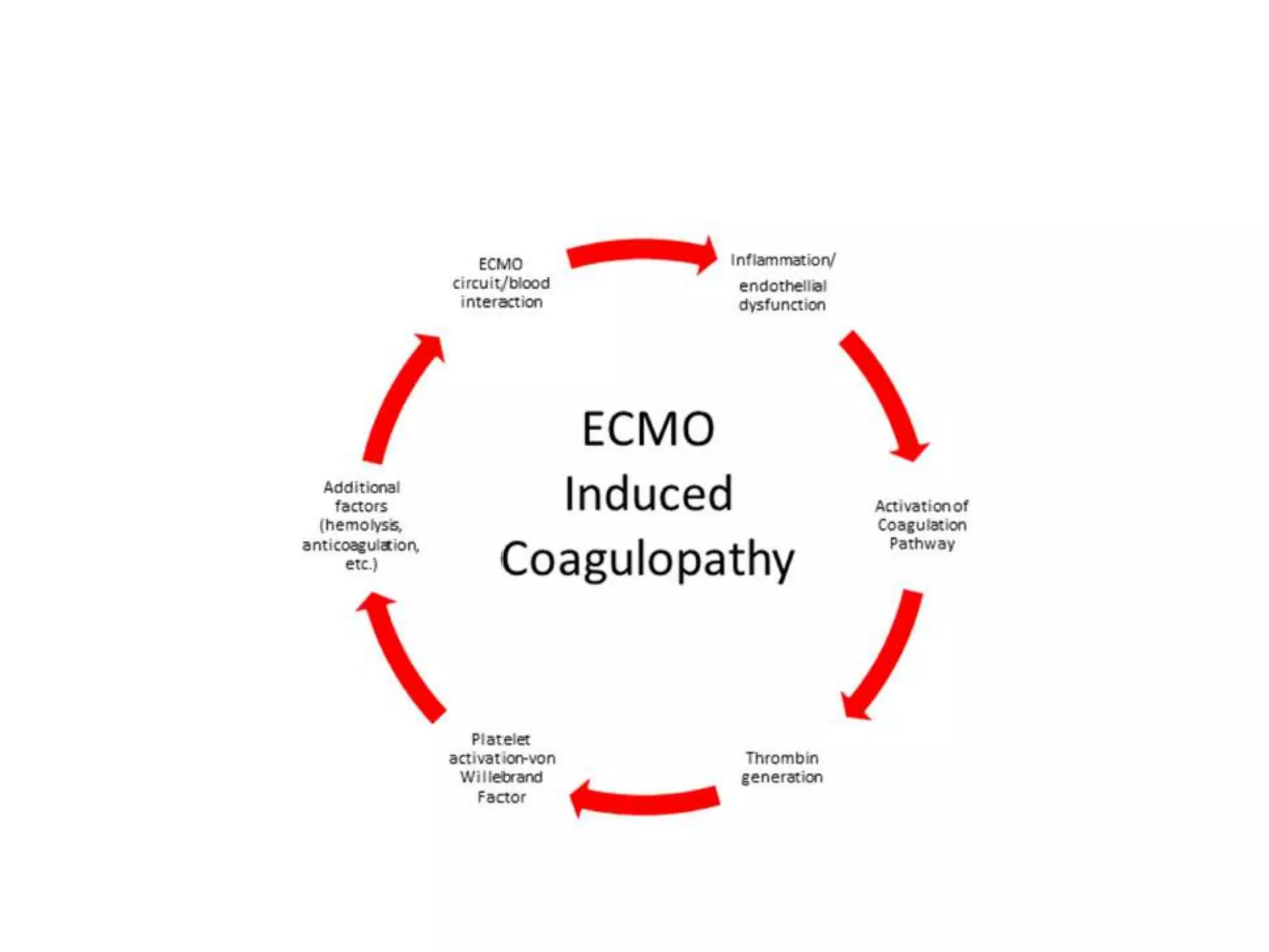 Pediatric ecmo | PPTX