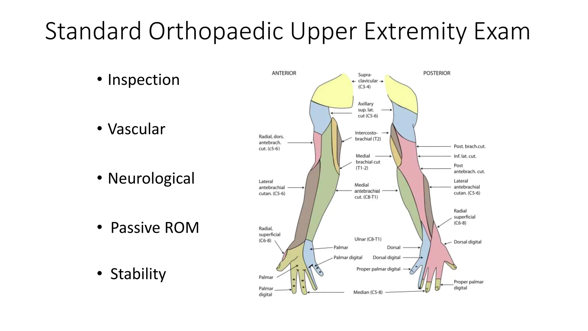 Pediatric Orthopedic Imaging Case Studies #7 Pediatric Elbow Fractures ...