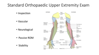Pediatric Orthopedic Imaging Case Studies #7 Pediatric Elbow Fractures ...