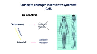 Pediatric endocrinology review part 4 | PPT