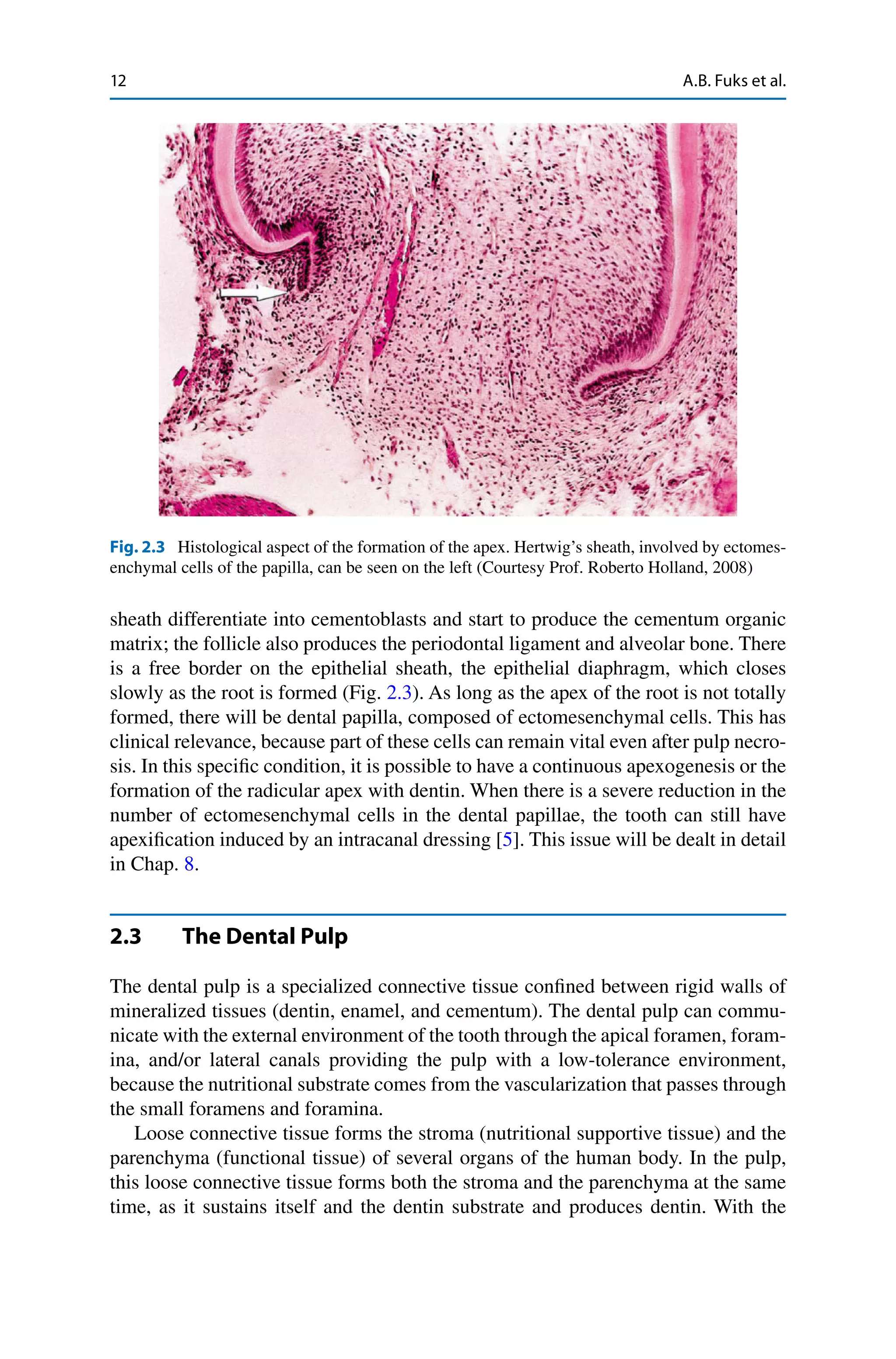 Pediatric Endodontics_ Current Concepts in Pulp Therapy for Primary and ...