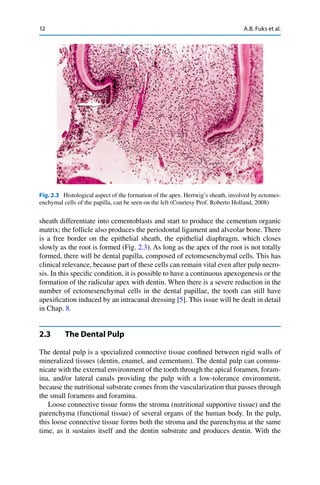 Pediatric Endodontics_ Current Concepts in Pulp Therapy for Primary and ...