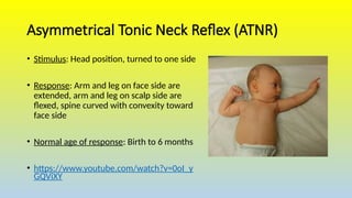 Presentation on thePediatric Examination | PPTX