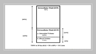 Intraoperative Pediatric Fluid Therapy.pdf
