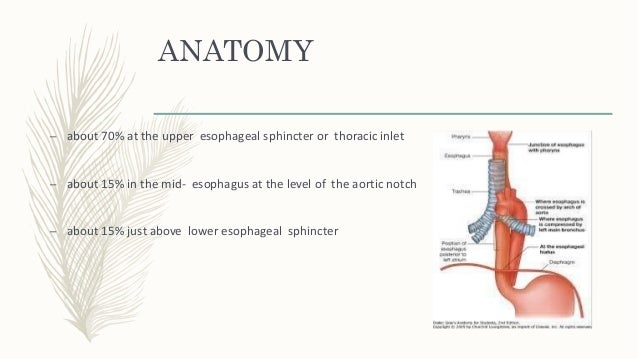 Pediatric foreign body ingestion