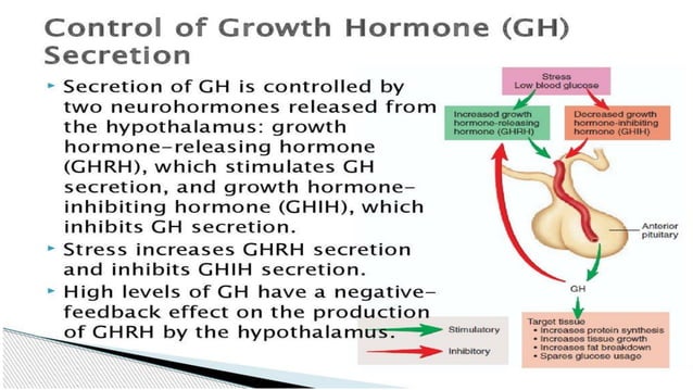 Pediatric growth hormone deficiency | PDF