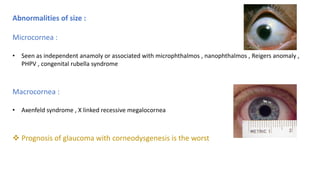 Pediatric glaucomas | PDF