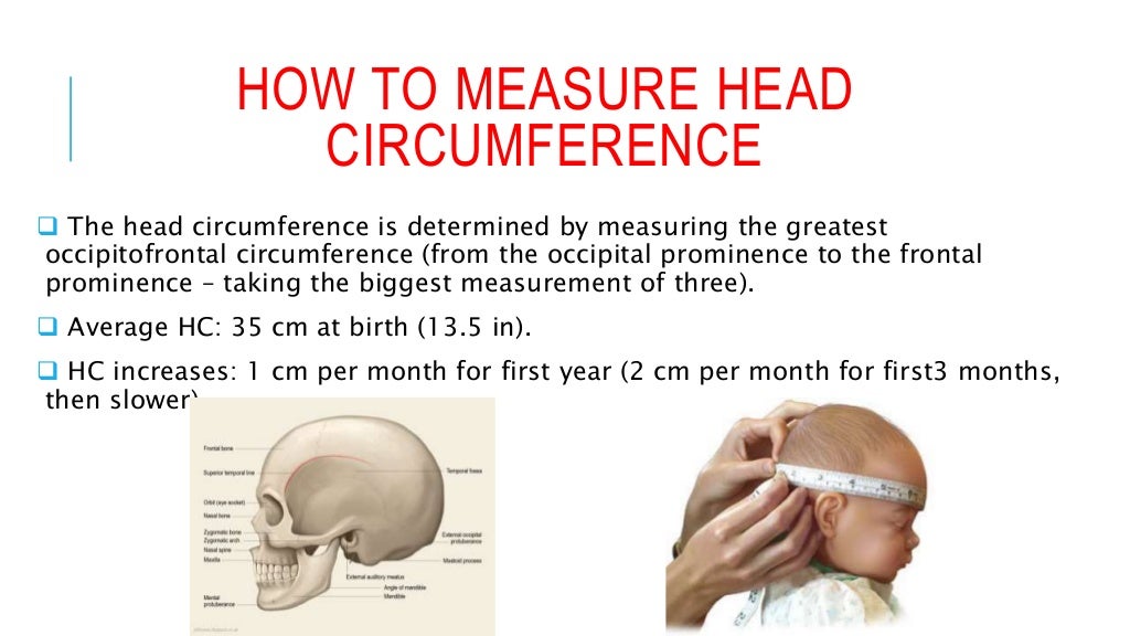 Pediatric growth (Head circumference)