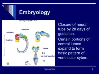 Pediatric Hydrocephalus Treatment and Diagnosis | PPT