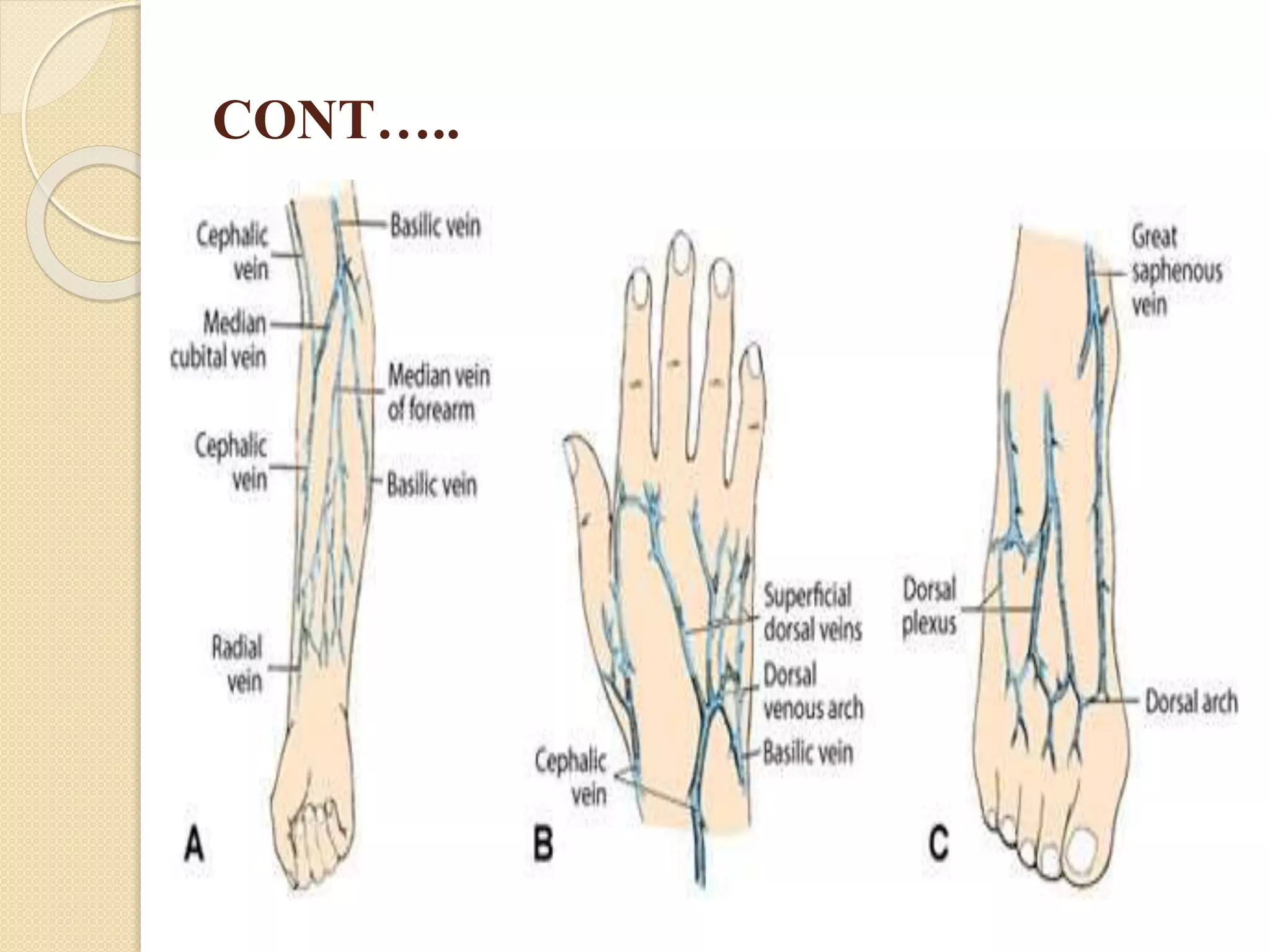 Pediatric intravenous cannulation | PPTX