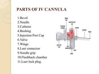 Parts Of Intravenous Therapy
