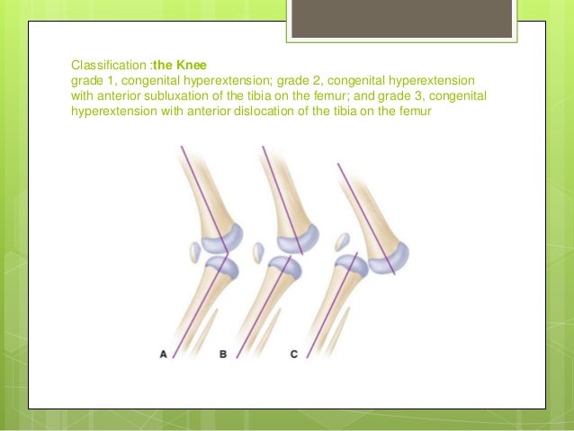 Pediatric knee copy